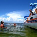 Private Catamaran: Snorkel, Swim and Dolphin Watching - The Sum Up