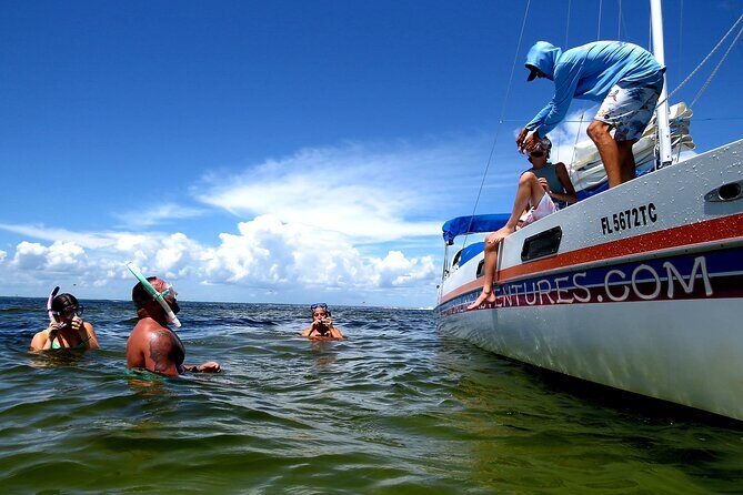 Private Catamaran: Snorkel, Swim and Dolphin Watching - The Sum Up