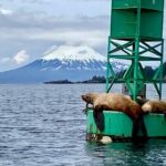 Private Charter Scenic Wildlife Excursion for Cruise Passengers - Who Should Book This Tour?