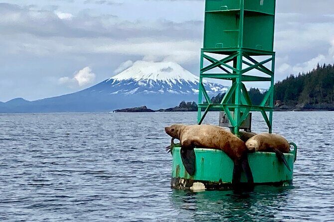 Private Charter Scenic Wildlife Excursion for Cruise Passengers - Who Should Book This Tour?