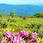 Private "Child-Focused" Blue Ridge Mountains Tour - Overall Impressions and Authentic Feedback