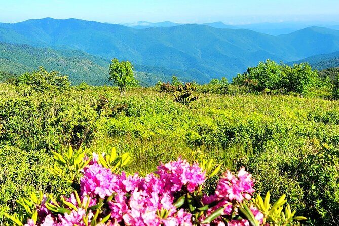Private "Child-Focused" Blue Ridge Mountains Tour - Overall Impressions and Authentic Feedback