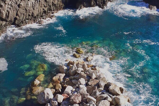 Private Cinque Terre Trek & Tour - Transport, Logistics, and Practicalities
