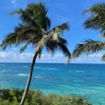 Private Circle Island Off-the-Beaten- Oahu Tour - Who Will Love This Tour?