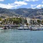 Private Cruise with Wine Tasting in Funchal Bay - Exploring the Experience in Detail