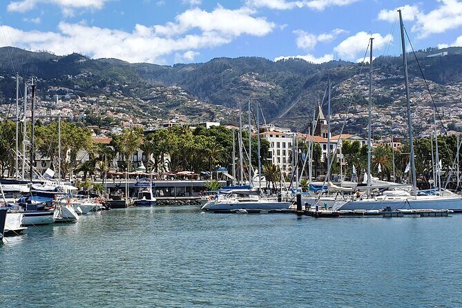 Private Cruise with Wine Tasting in Funchal Bay - Exploring the Experience in Detail