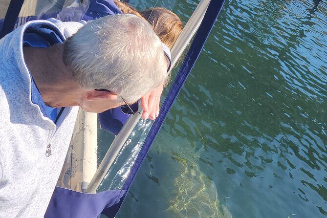 Private Crystal River Wildlife Boat Tour - Final Thoughts: Is It Worth It?