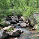 Private Custer State Park Safari and Hiking Tour - The Guides and Reviews