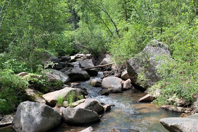 Private Custer State Park Safari and Hiking Tour - The Guides and Reviews
