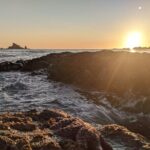 Private Day Hike- Rialto Beach Tide Pooling - A Closer Look at the Tour Experience
