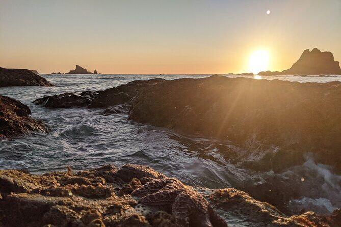 Private Day Hike- Rialto Beach Tide Pooling - A Closer Look at the Tour Experience