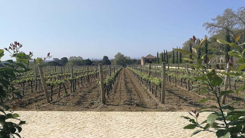 Private day tour Arrábida, Palmela Castle, tiles and Winery - The Itinerary in Detail