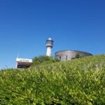 Private day tour in Champagne - Value and Pricing Considerations