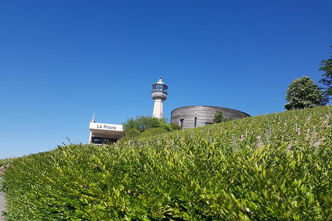 Private day tour in Champagne - Value and Pricing Considerations