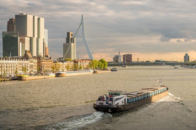 Private Day Tour: Rotterdam and The Hague. English or Spanish - An In-Depth Look at the Itinerary