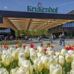 Private Day Tour to Keukenhof Gardens - from Amsterdam/Rotterdam - Why Travelers Rave About This Tour