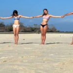Private day tour to pink beach-sand island-gili petelu - The Itinerary – A Closer Look