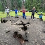 Private Day Tour to Sequoia and Kings Canyon Parks From LA - What Makes This Tour Special?