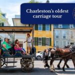 Private Daytime Horse-Drawn Carriage Tour of Charleston - The Real Sweet Spots