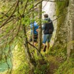 Private Daytrip Hike to Bucegi Mountains - Why This Tour Might Be Perfect for You