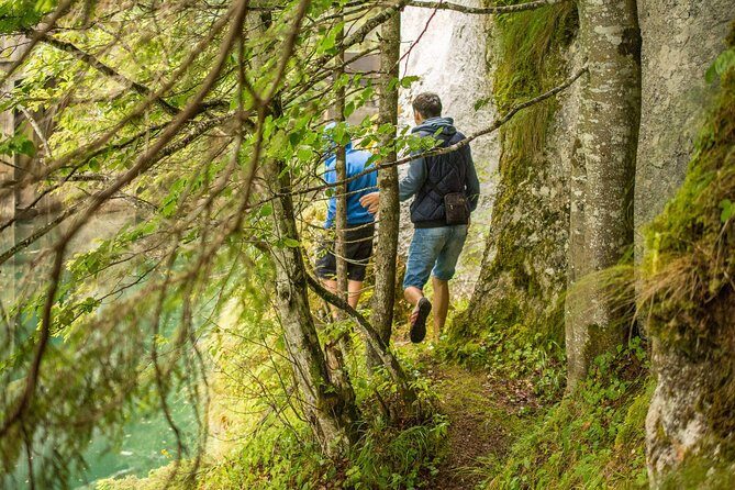 Private Daytrip Hike to Bucegi Mountains - Why This Tour Might Be Perfect for You
