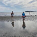 Private Disappearing Island Dolphin Tour - The Attractions in Detail