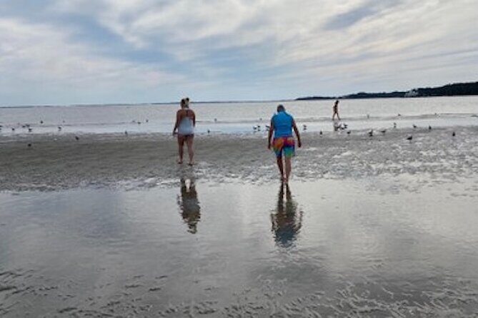 Private Disappearing Island Dolphin Tour - The Attractions in Detail