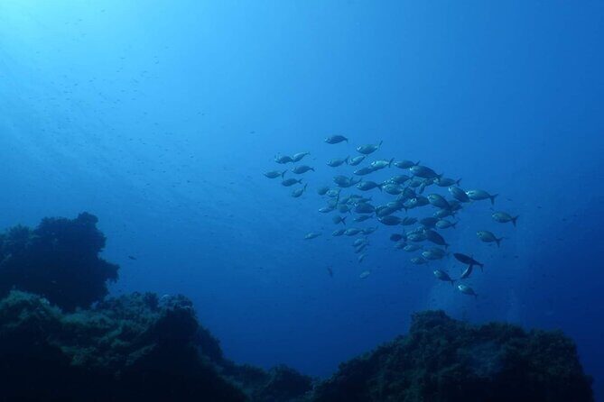 Private diving baptism in the Golf of Calvi - The Itinerary: Step-by-Step