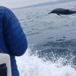 Private Dolphin and Whale Watching Tour in Newport Beach - Who Would This Tour Suit Best?