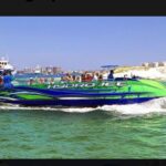 Private Dolphin Cruise in Destin holds 29 people - A Closer Look at the Experience
