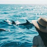 Private Dolphin Cruise in Panama City Beach - A Detailed Look at the Experience
