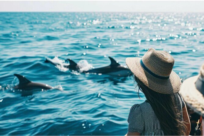Private Dolphin Cruise in Panama City Beach - A Detailed Look at the Experience