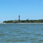 Private Dolphin & Sightseeing Boat Day Tour - Stop 1: Wildlife & Dolphin Watching in San Carlos Bay
