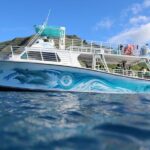 Private Dolphin Swim with Slide for up to 15 Passengers - Authentic Perspectives from Guests