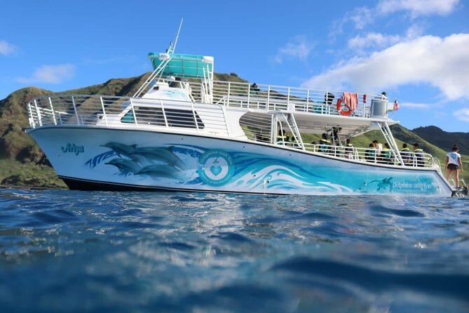 Private Dolphin Swim with Slide for up to 15 Passengers - Authentic Perspectives from Guests