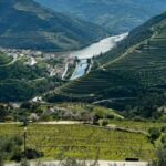 Private Douro Valley Full Day Tour - Detailed Breakdown of the Itinerary