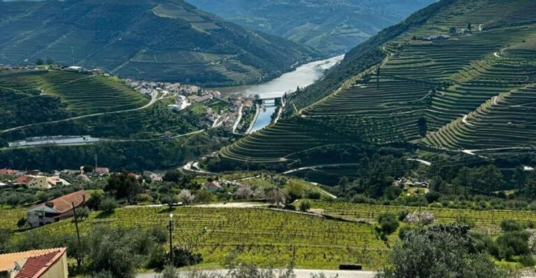 Private Douro Valley Full Day Tour - Detailed Breakdown of the Itinerary