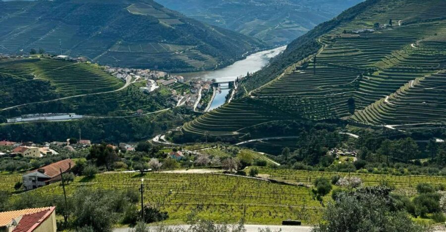 Private Douro Valley Full Day Tour - Detailed Breakdown of the Itinerary