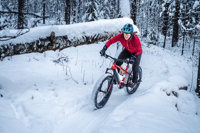 Private Electric Fat Bike Winter Tour in Rovaniemi - Equipment and Comfort