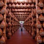 Private Emilia Romagna Food Tour Half Day - Transportation and Practical Details