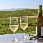 Private Enchanted Napa and Sonoma Wine Tour in SUV from SFO - Practical Aspects and What to Expect