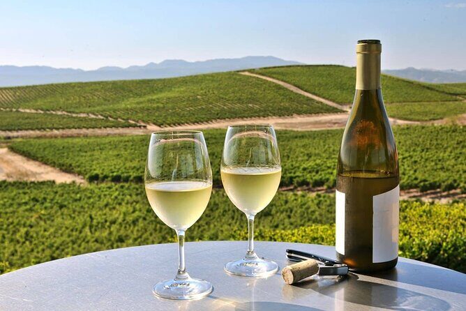 Private Enchanted Napa and Sonoma Wine Tour in SUV from SFO - Practical Aspects and What to Expect