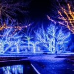 Private Enchanting Nashville Christmas Lights Tour - Authenticity & Overall Experience