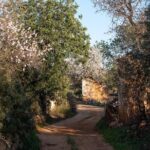 Private escape in the backcountry - Detailed Itinerary Breakdown