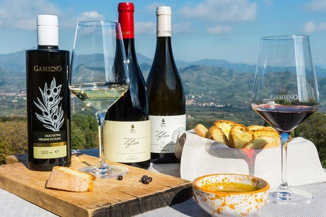 Private Etna tour from Messina Cruise Terminal+ Lunch at Winery - Understanding the Cost and Value