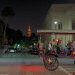 Private Evening Carriage Tour Charleston - Palmetto Carriage - Who Will Love This Tour?