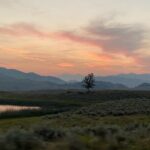 Private Evening/Sunset Wildlife Encounter Tour - Analyzing the Value