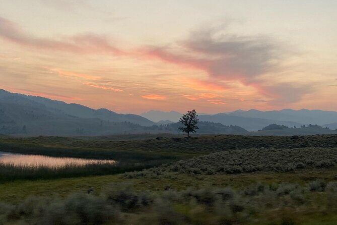 Private Evening/Sunset Wildlife Encounter Tour - Analyzing the Value