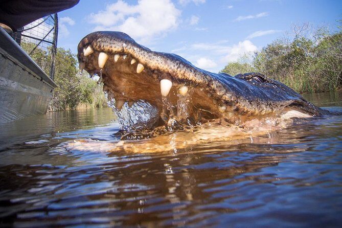 Private Everglades Airboat Tour including hotel pick up and Everglades specialist - Detailed Itinerary Breakdown