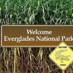 Private Everglades Tour: Explore the Beauty of the Everglades - Why This Tour Stands Out